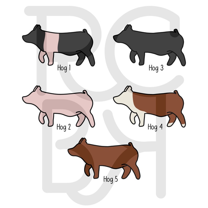 SIX PACK Livestock Note Cards | Great for County Fairs & Stock Shows ...
