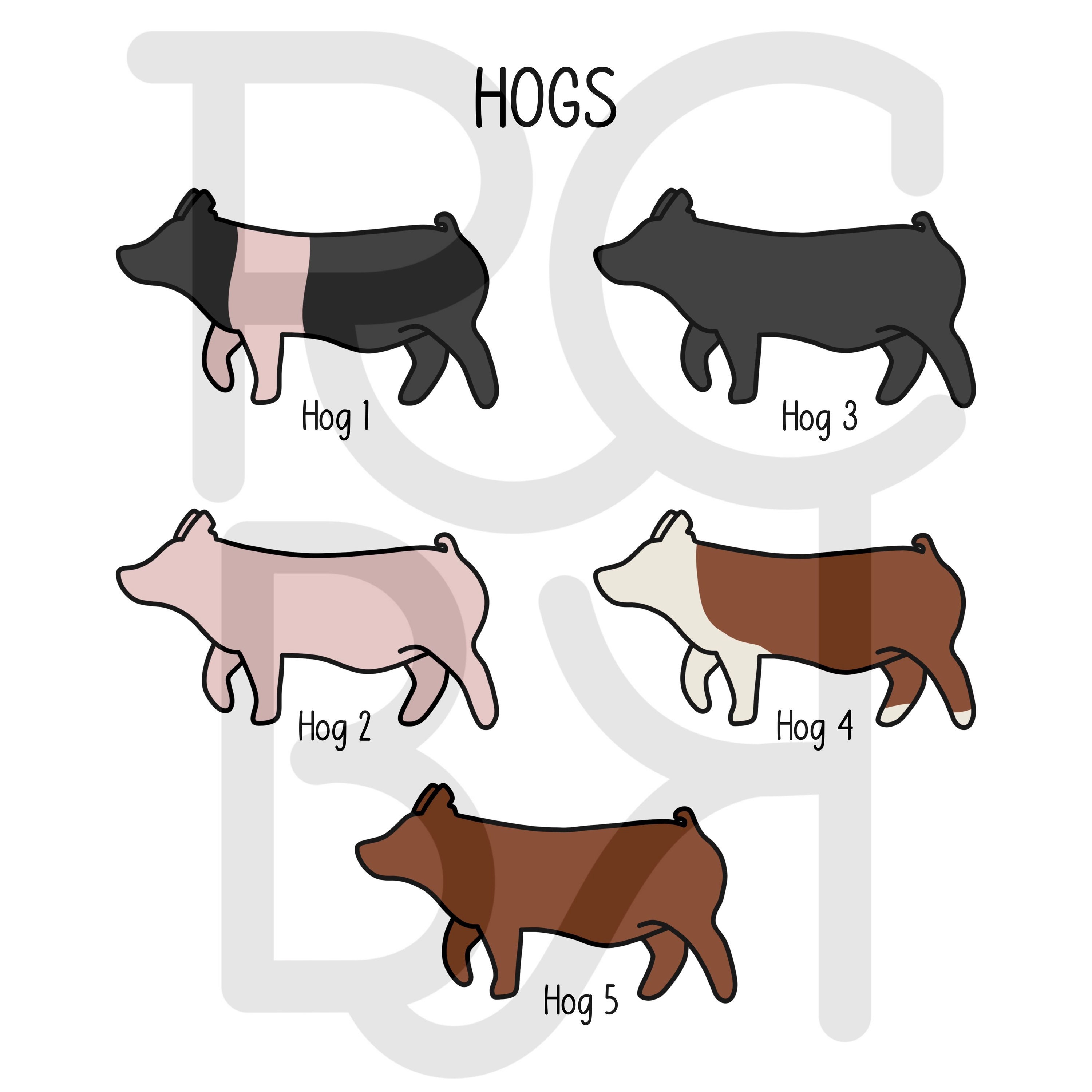 SIX PACK Barbed Wire Livestock Thank You Cards - Etsy