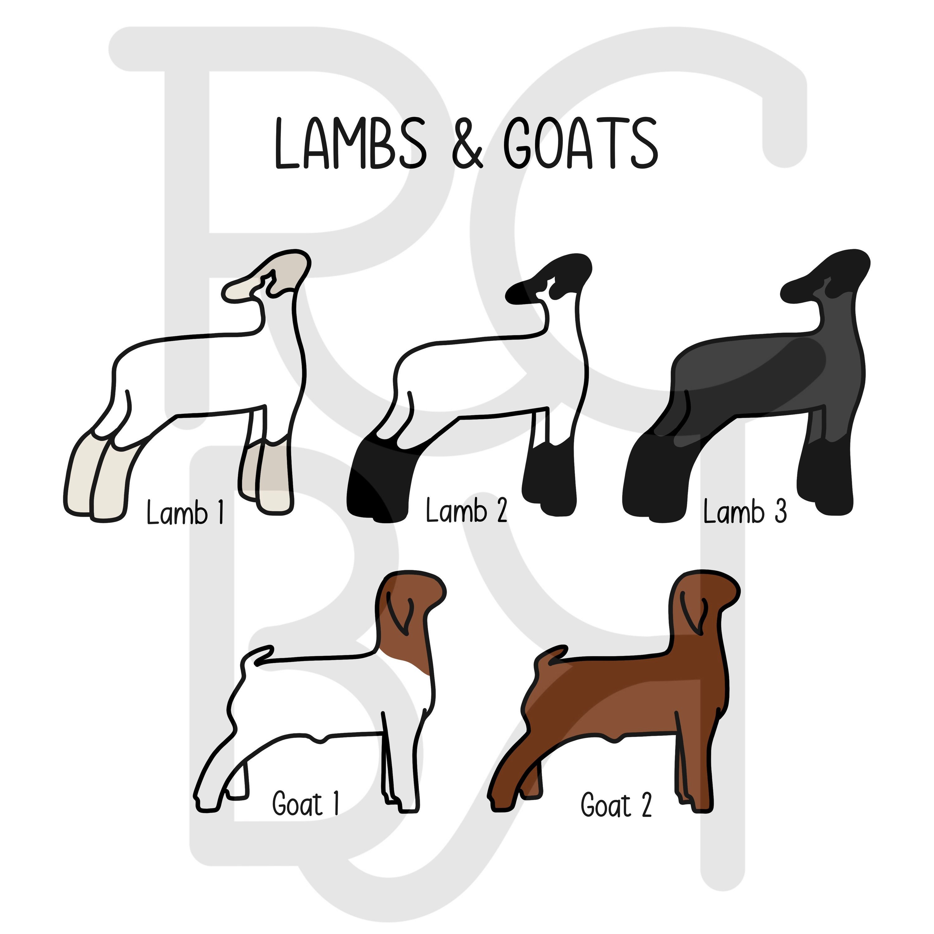 SIX PACK Barbed Wire Livestock Thank You Cards - Etsy