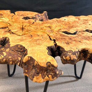 Rustic Coffee Table Out of an Olive Wood Root Cookie Slab #10 - 68 X 53 ...