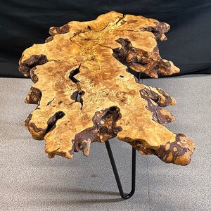 Rustic Coffee Table Out of an Olive Wood Root Cookie Slab #10 - 68 X 53 ...