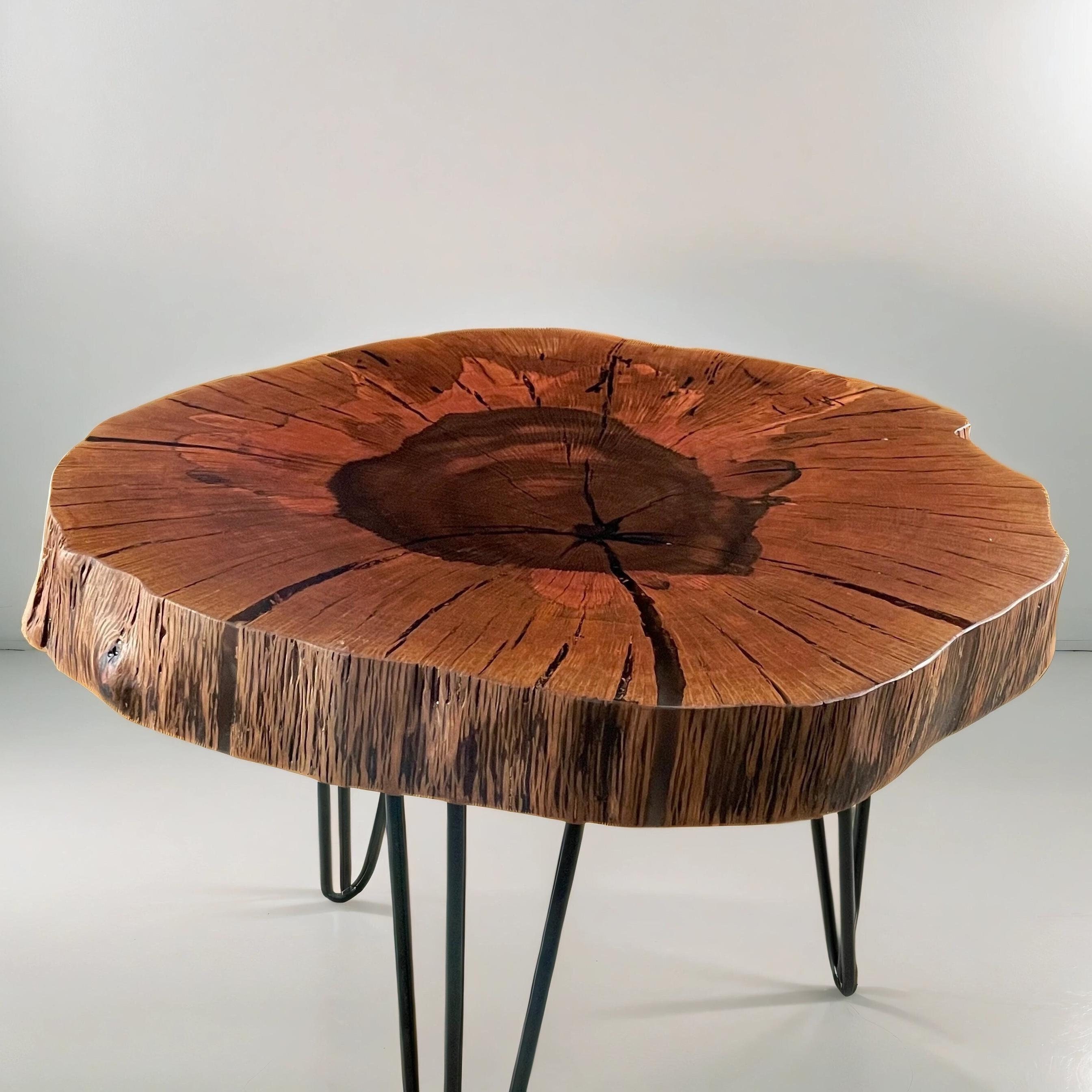 Ancient Holm Oak Coffee Table Cookie Slab Tree Slice Diameter 57 Cm Swiss Made Etsy