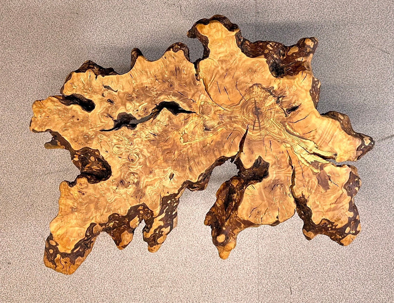 Rustic Coffee Table Out of an Olive Wood Root Cookie Slab 10 68 X 53 Cm ...