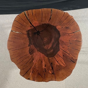 Ancient Holm Oak Coffee Table - Cookie Slab Tree Slice - Diameter 57 Cm ...