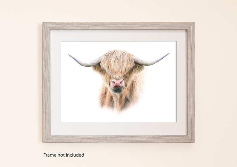 Highland Cow, A4 Print of Original Coloured Pencil Drawing, Wall Art ...