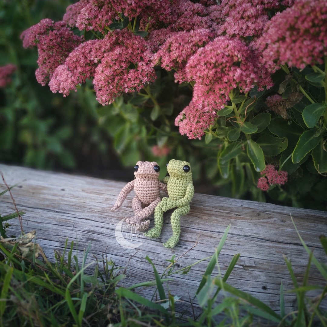 Tiny Frog and Toad Crochet Pattern Bundle, Realistic Amigurumi Frog and ...