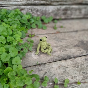Cute Frog Crochet Pattern PDF, Amigurumi Frog Crochet Pattern, Tiny ...