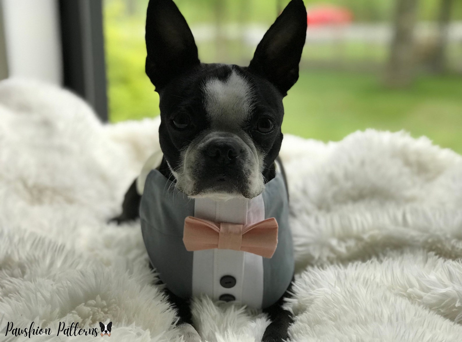 Dog Tuxedo Sewing Pattern DIY Dog Tuxedo Sewing Pattern PDF - Etsy UK