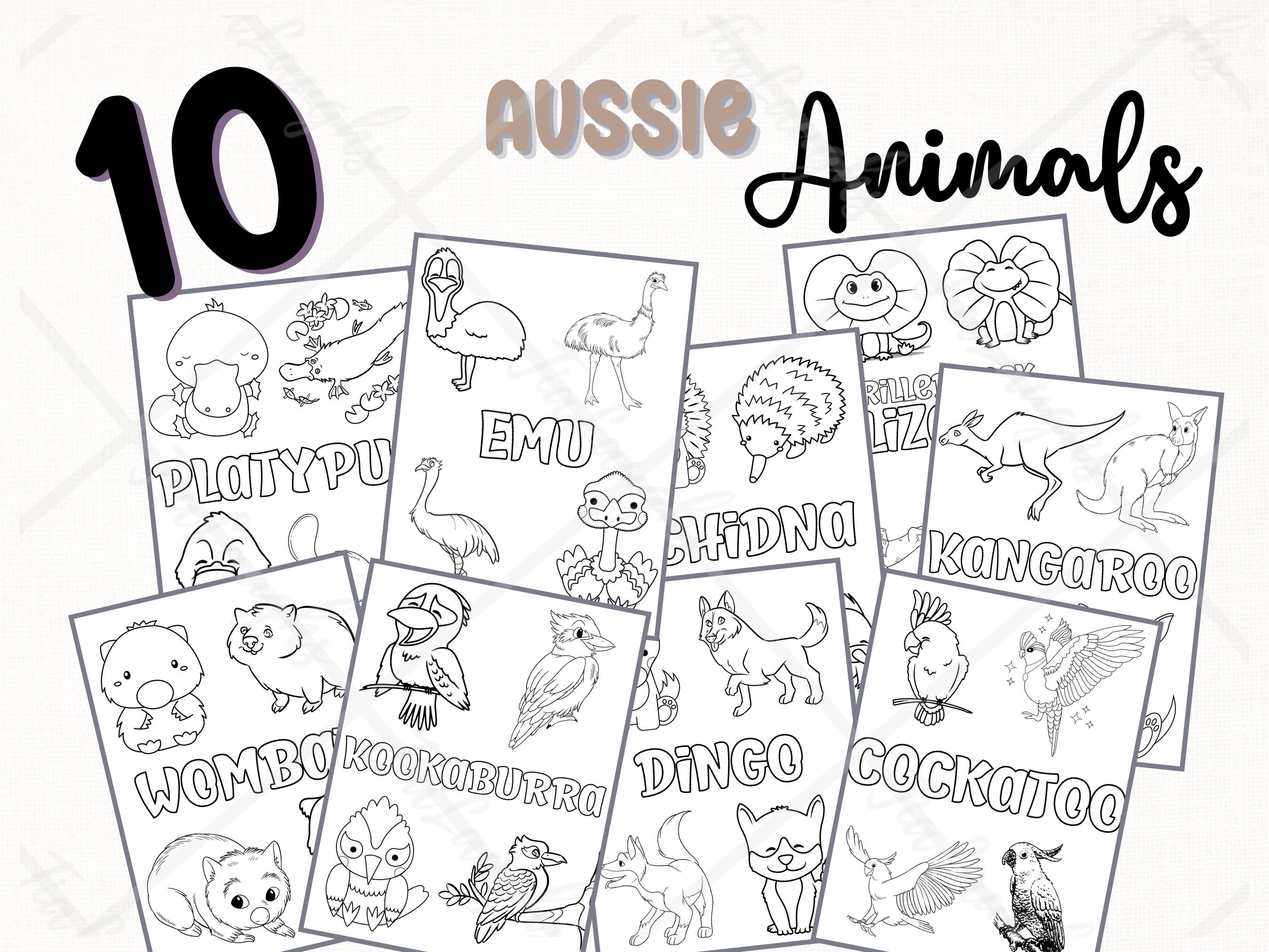 10 Australian Animal Coloring Pages Fun for Kids, Teens, and Adults ...
