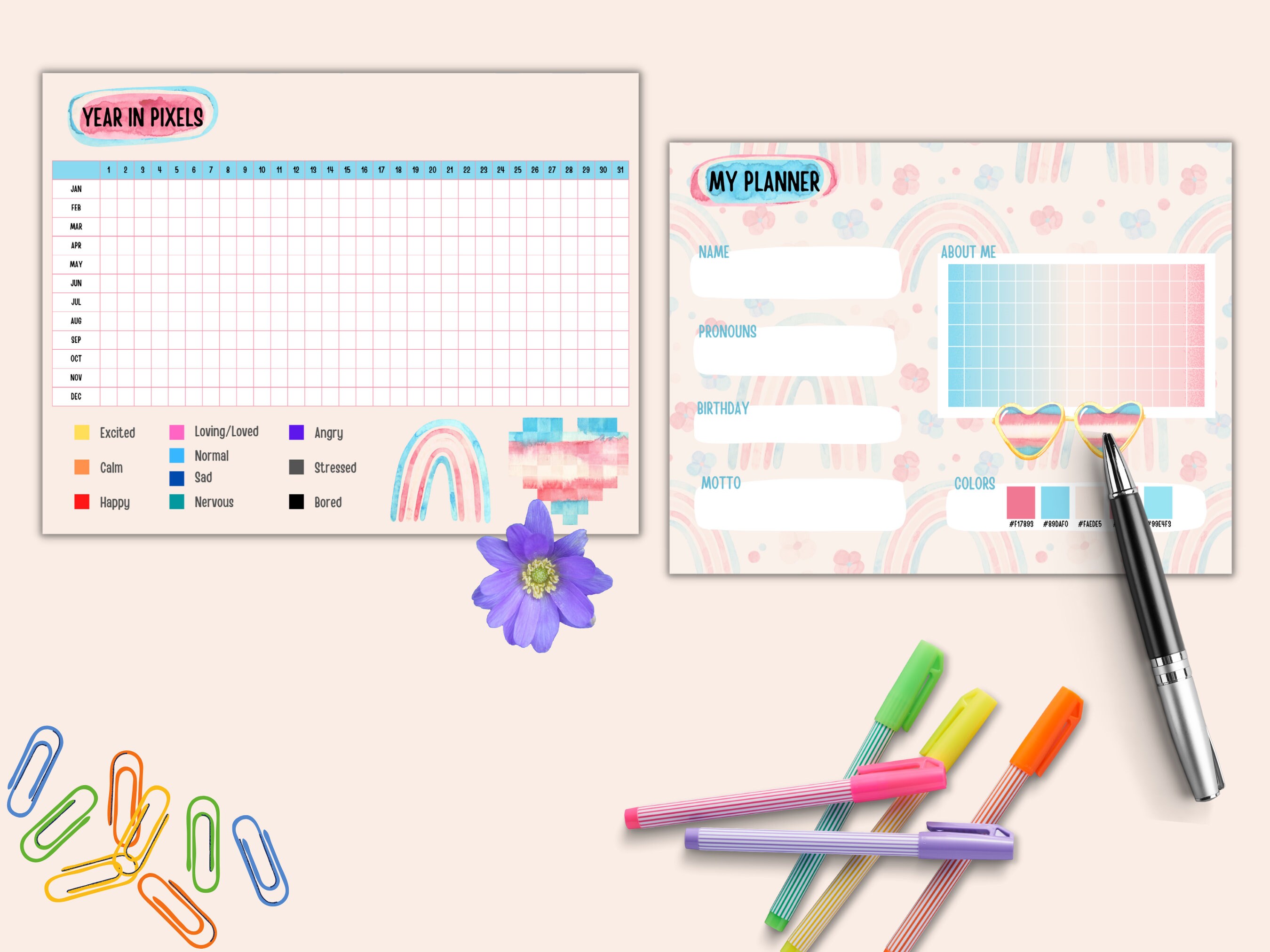 PRIDE Themed Transgender Themed Planner Printable Monthly Weekly Daily ...