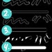 Procreate Tears Brushes , Tear Brush, Procreate Skin Brushes, Procreate ...