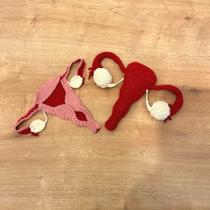 Crochet Uterus Pattern, Model of Uterus Structure, Education Materials ...