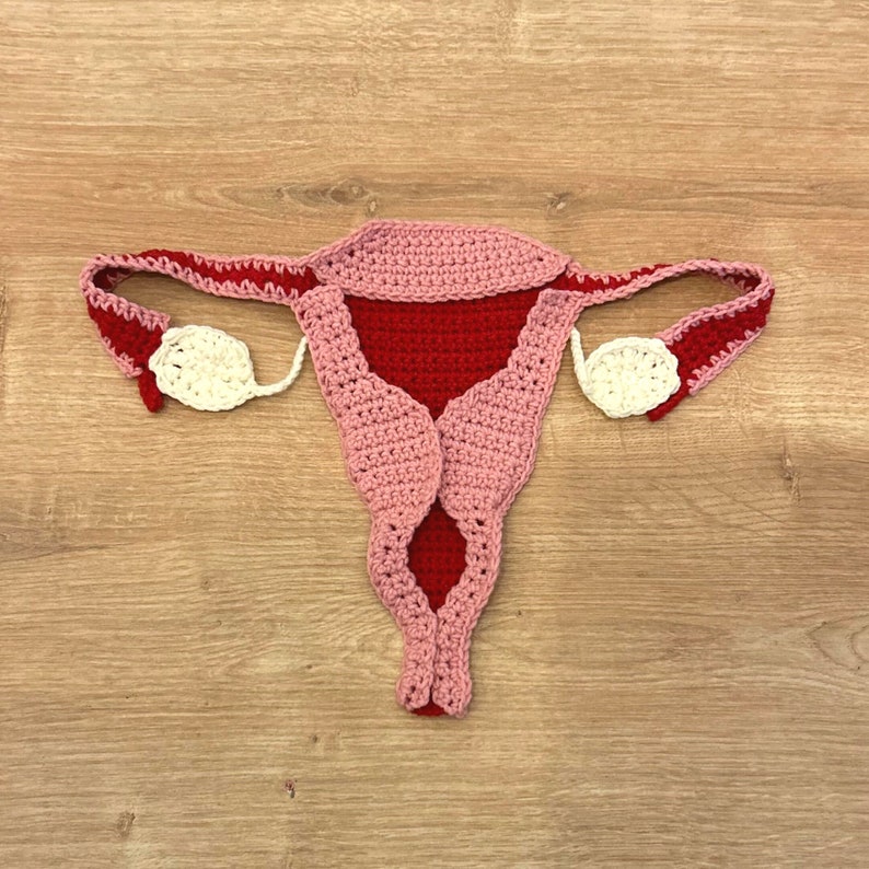 Crochet Uterus Pattern Model of Uterus Structure Education - Etsy UK