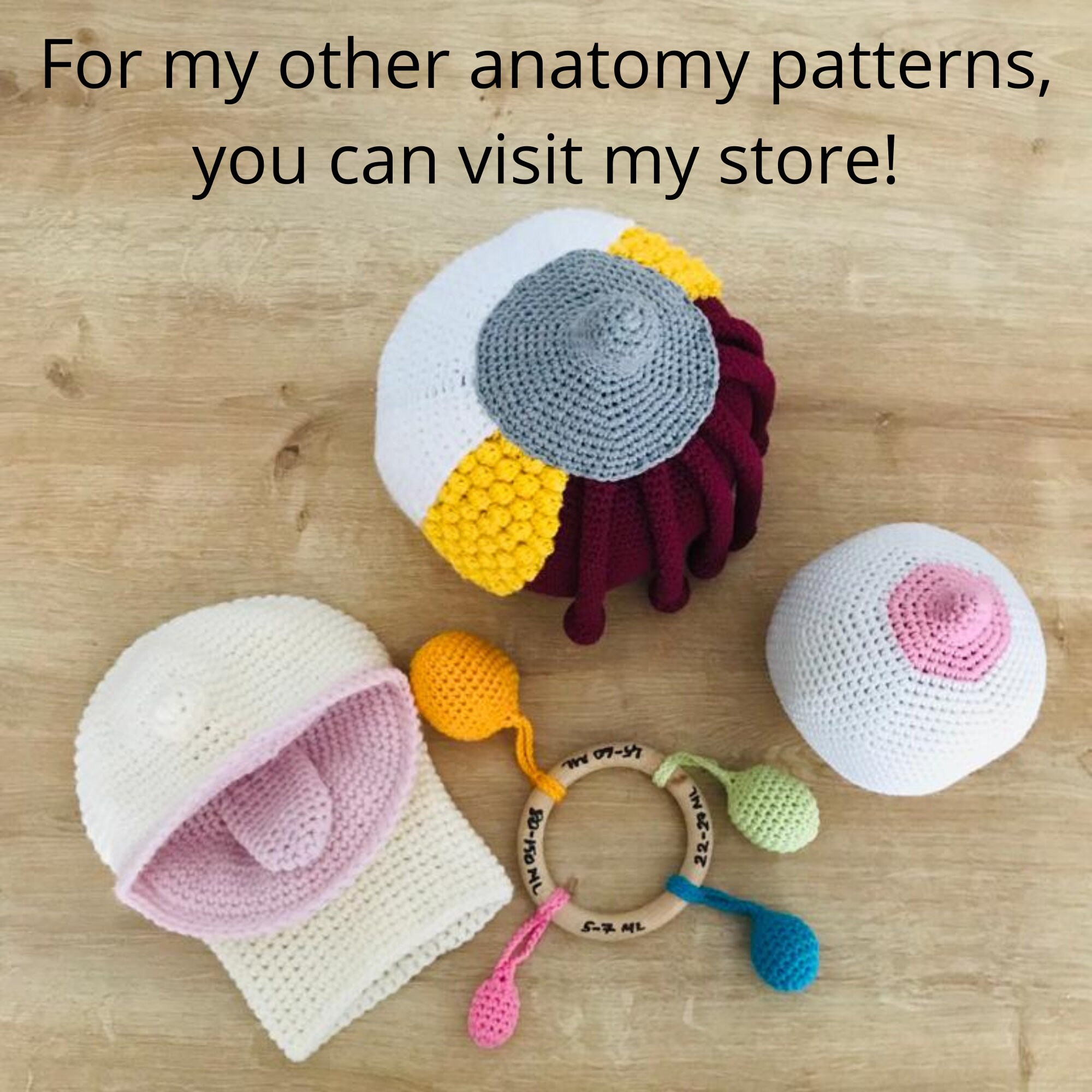 Crochet Pelvis Pattern Female Pelvis and Sacrum Model - Etsy Australia