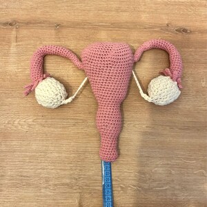 Crochet Pelvis and Uterus Pattern, Model of Uterus Structure, Female ...