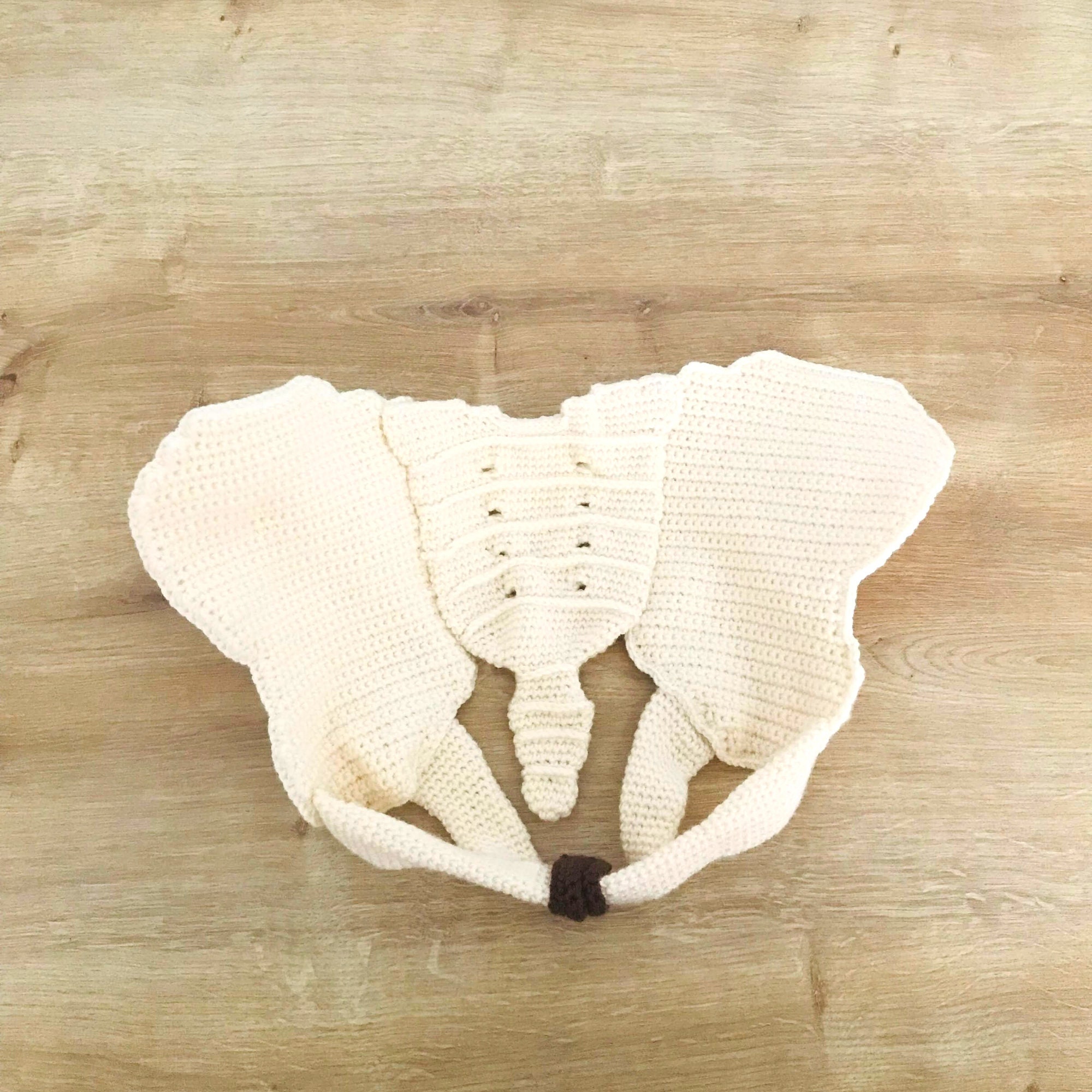 Crochet Pelvis Pattern Female Pelvis and Sacrum Model - Etsy Australia