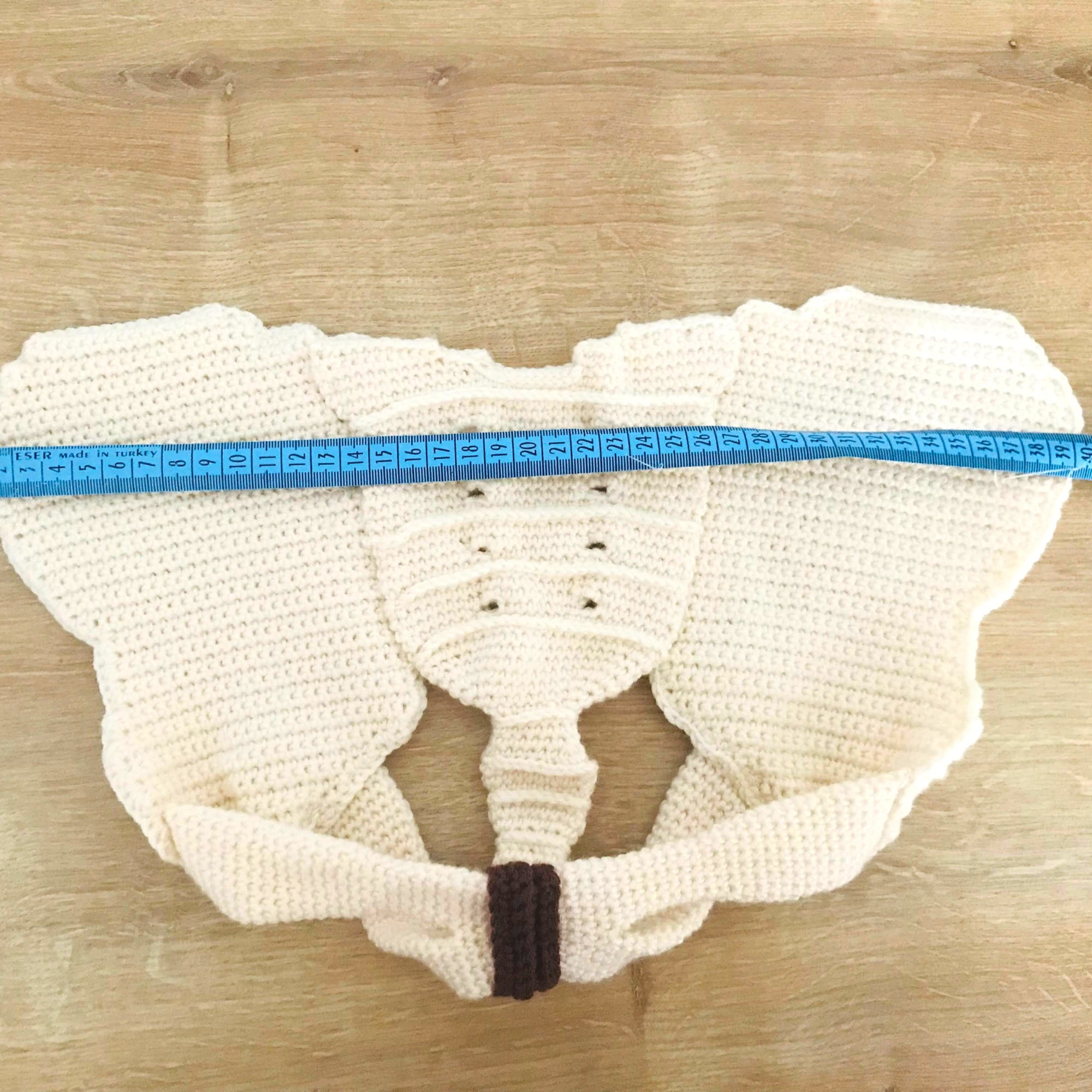 Crochet Pelvis Pattern Female Pelvis and Sacrum Model - Etsy Australia