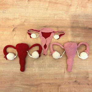 Crochet Anatomy Pattern Bundle, Breastfeeding Demonstration Kit Pattern ...