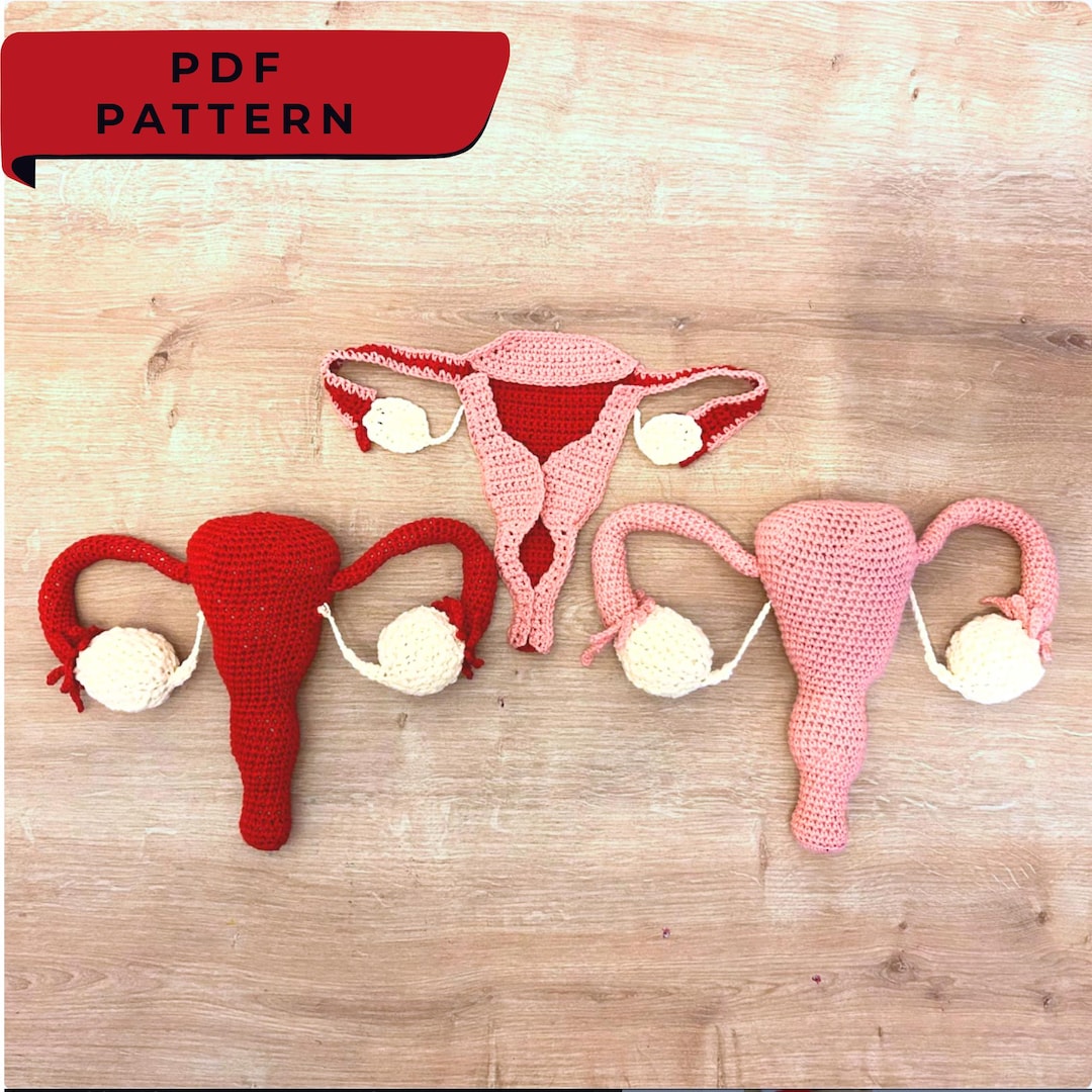 PDF Pattern: Detailed Crochet Uterus Structure Model (27 Pages ...