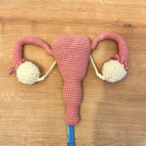 Crochet Uterus Pattern, Model of Uterus Structure, Education Materials ...