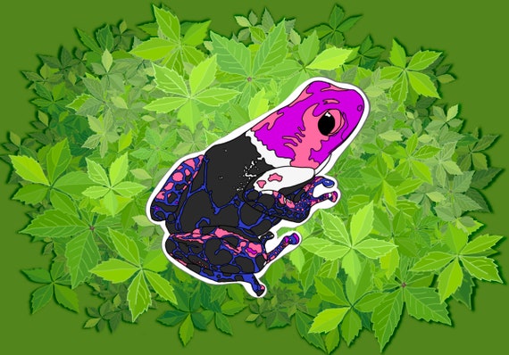 Gender Fluid Lgbtq Dart Frog - Etsy