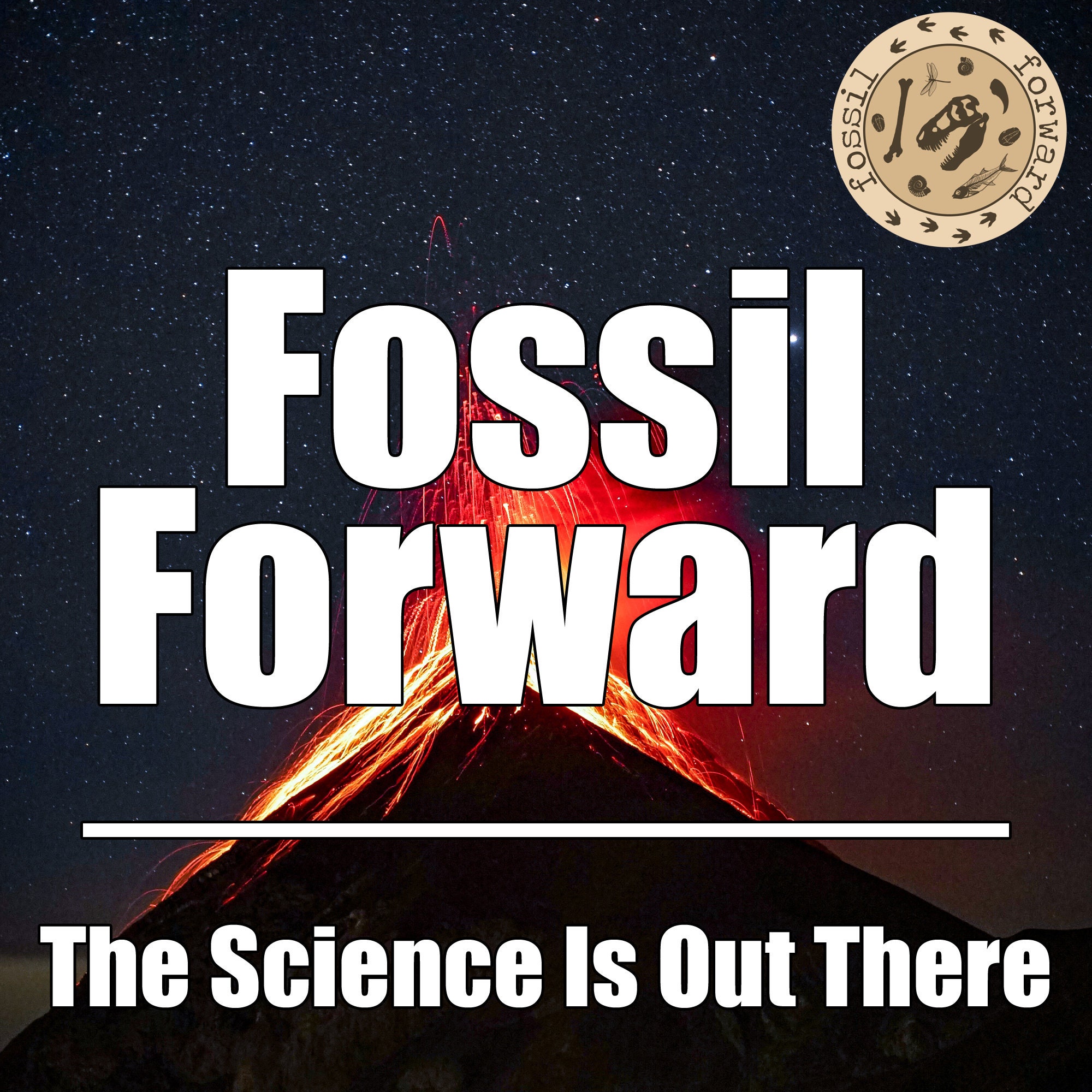 Greetings From the Paleozoic Standard Postcard, Megalograptus Gift ...