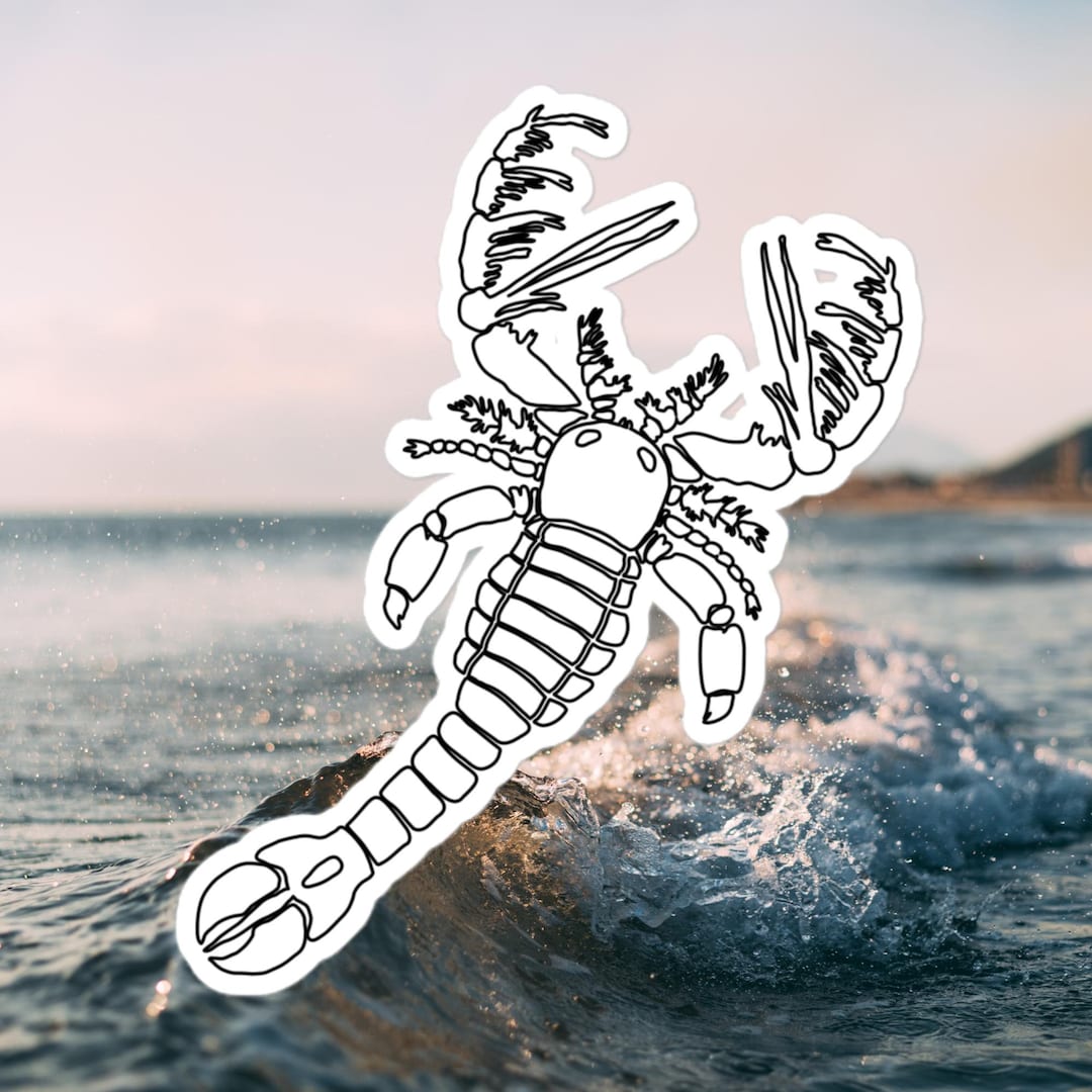 Megalograptus Sticker, Fossil Lover Sticker, Paleontology Sticker ...