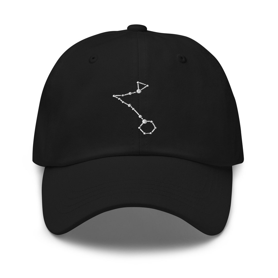 Constellation Embroidered Dad Cap, Pisces Hat, Astronomy Gift ...
