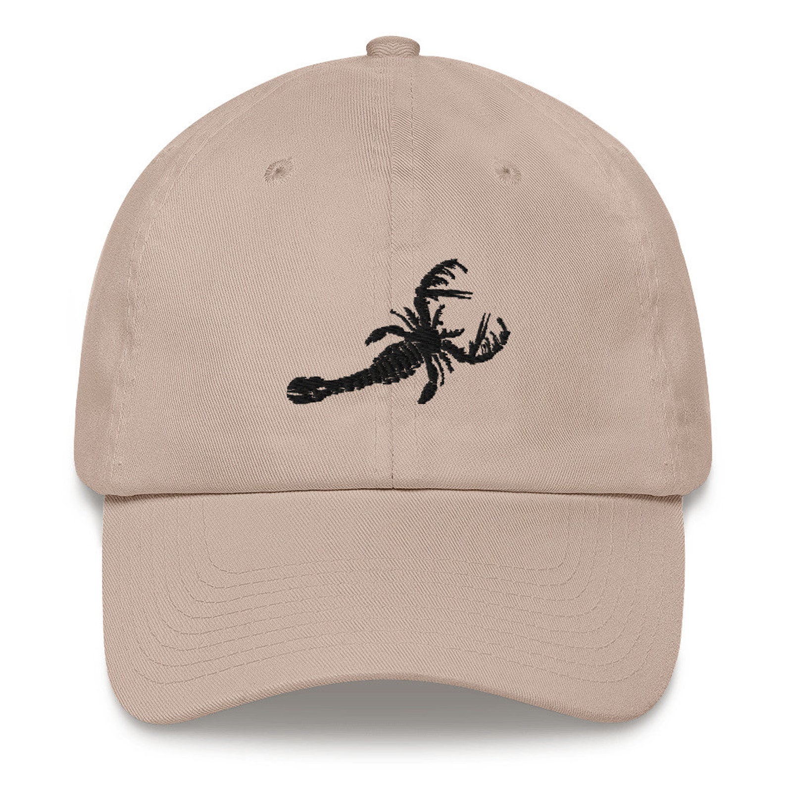 Megalograptus Dad Cap, Fossil Hunter Hat, Arthropod Gift, Paleontology ...