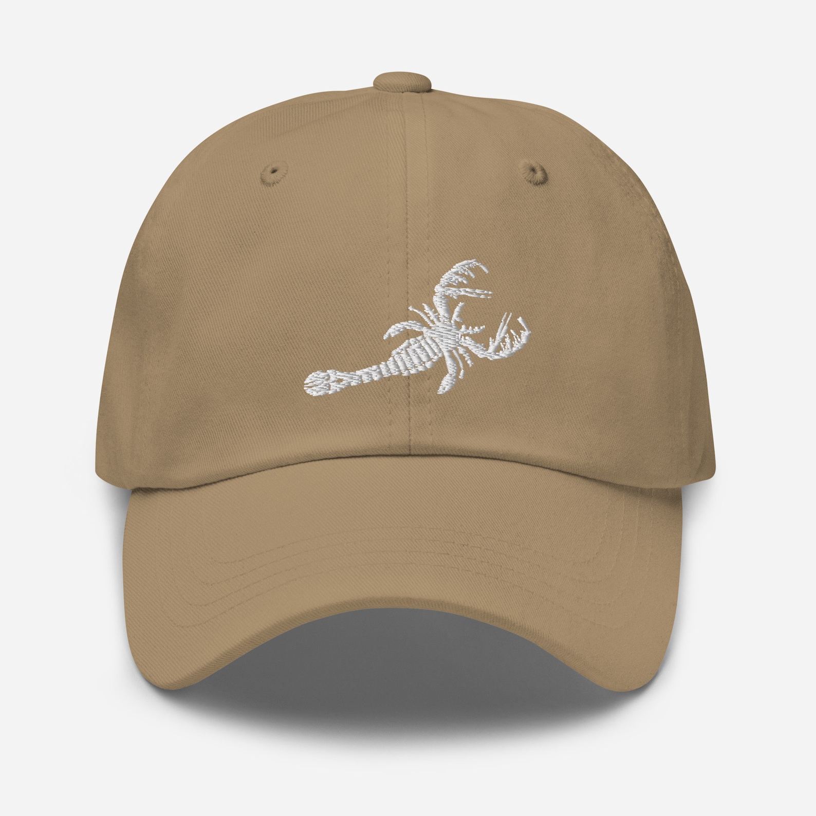 Megalograptus Dad Cap, Fossil Hunter Hat, Arthropod Gift, Paleontology ...