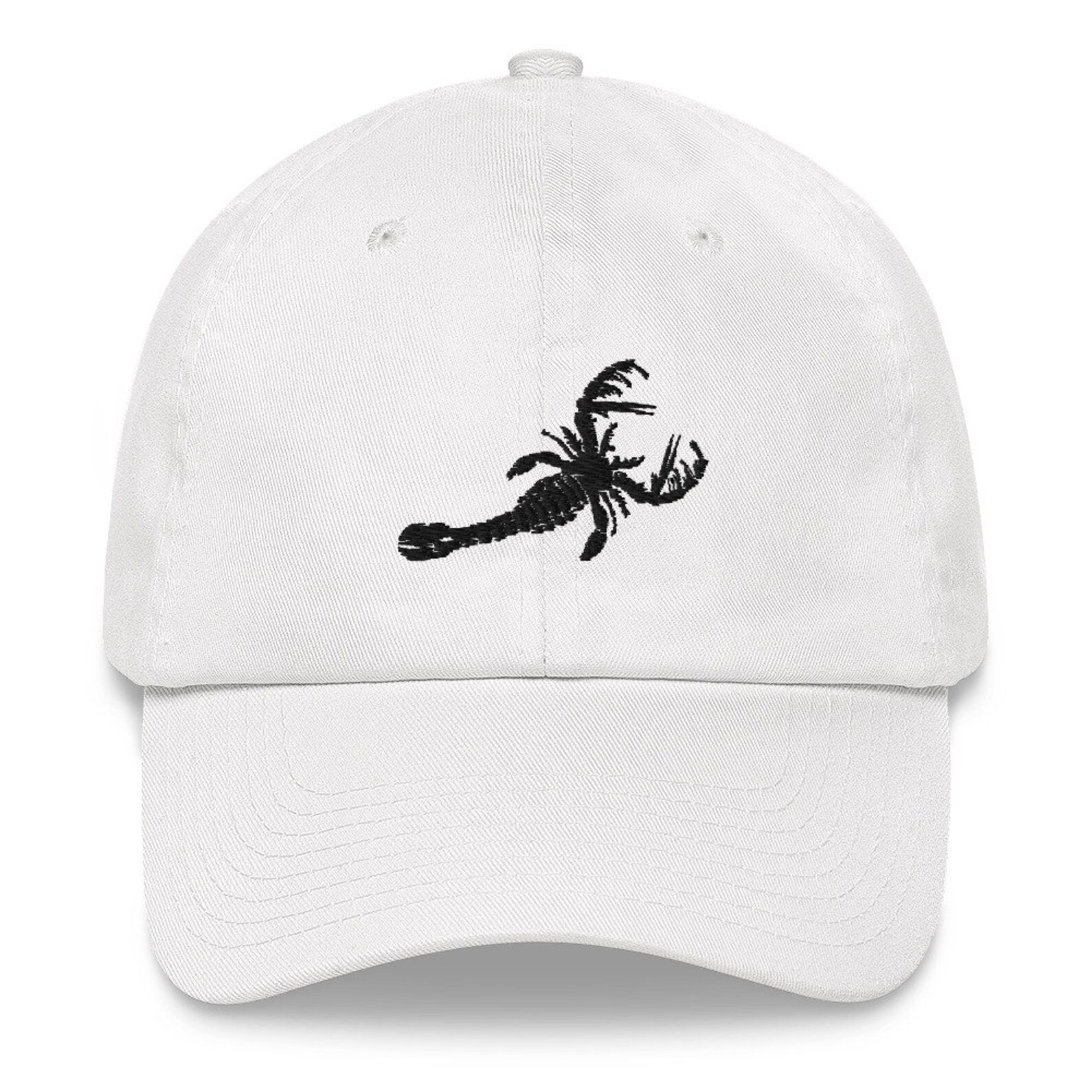 Megalograptus Dad Cap, Fossil Hunter Hat, Arthropod Gift, Paleontology ...