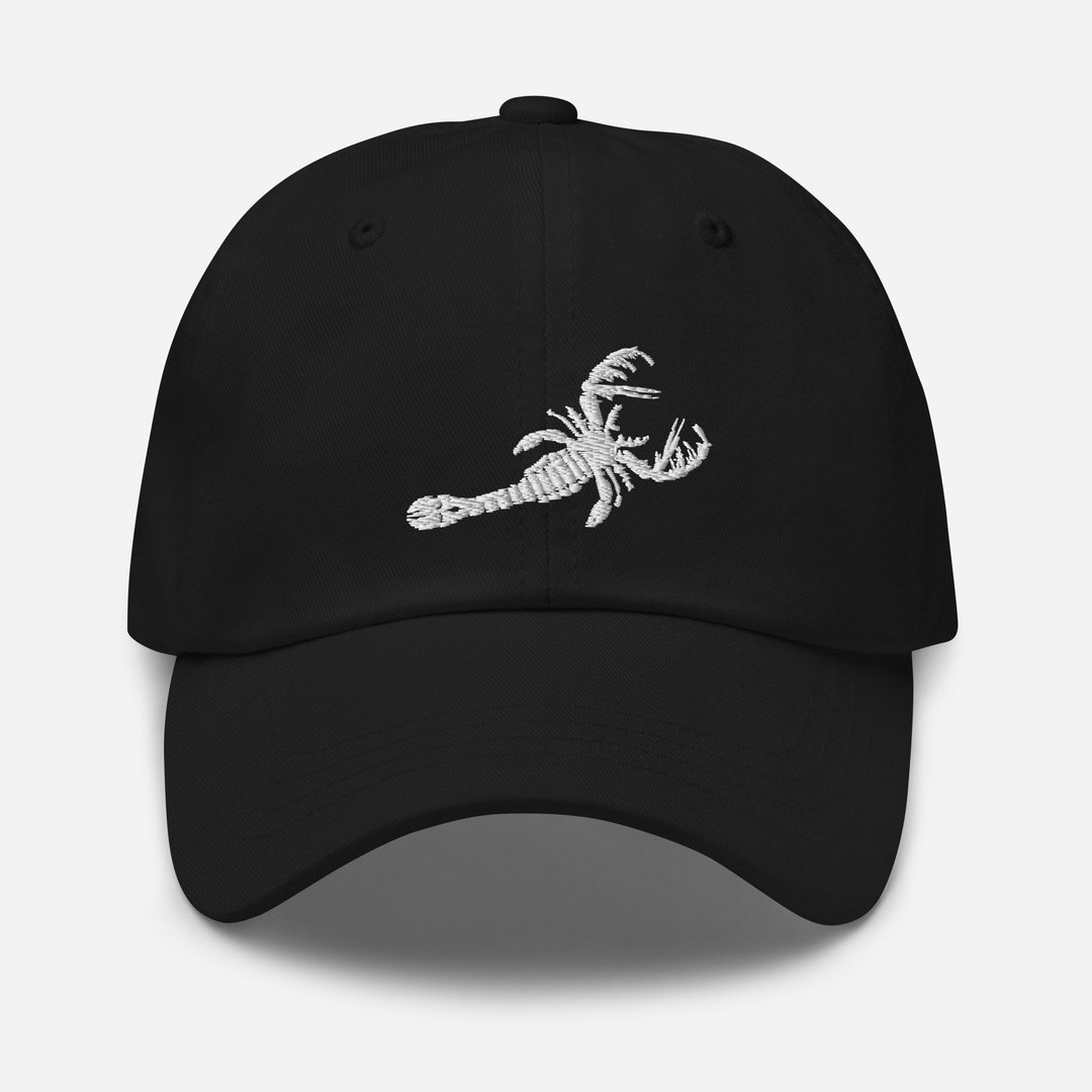 Megalograptus Dad Cap, Fossil Hunter Hat, Arthropod Gift, Paleontology ...