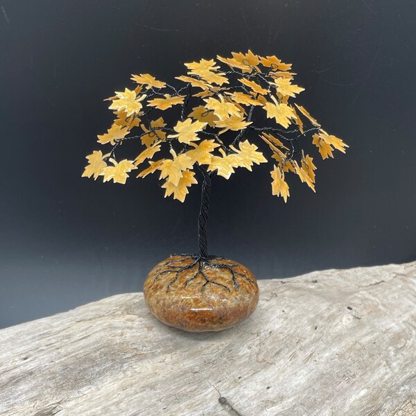 Miniature Maple Tree - Etsy