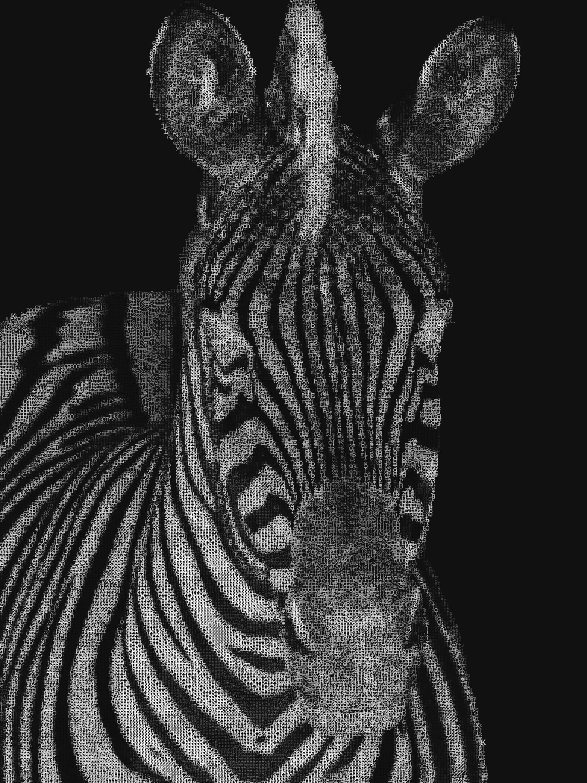 Digital Printable Zebra Mosaic Letter in Black and White - Etsy