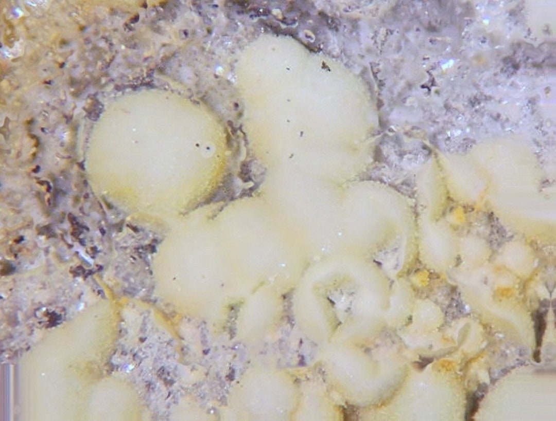 PLANERITE Al Kidwell Label Mauldin Mountain, Montgomery County, ARKANSA ...