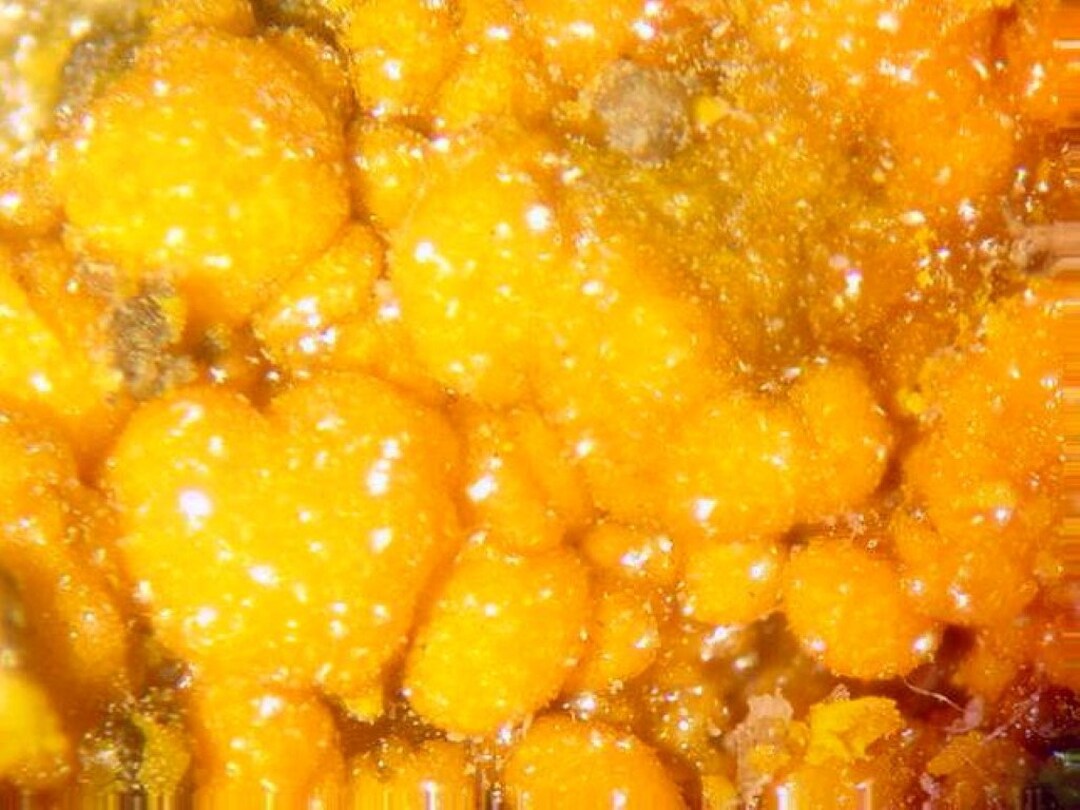 HUMMERITE Type Locality Exceptional Crystals Hummer Mine, Montrose ...