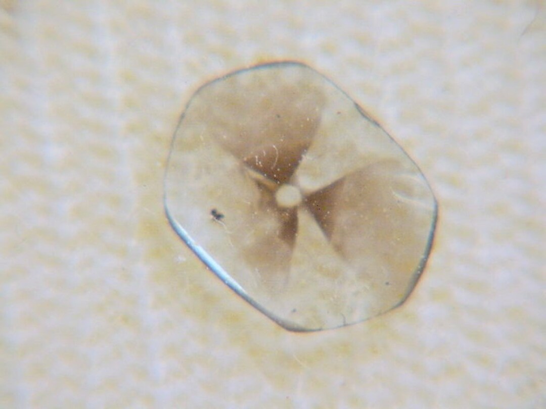 ASTERIATED DIAMOND - Radiation Symbol - ZIMBABWE - Etsy