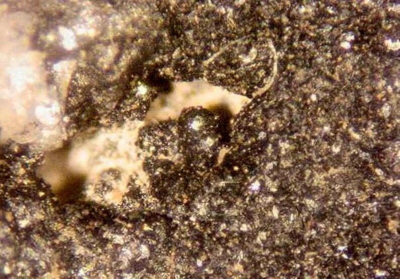 HETEROGENITE - Blue Jay Mine, Goodsprings, Clark County, NEVADA - Etsy