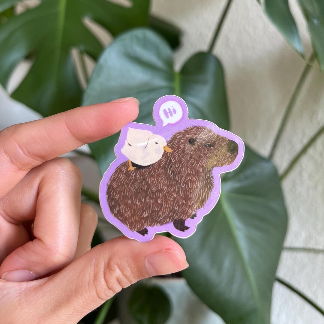 Sticker De Capibara Y Pato Kawaii / Pegatina De Animales Adorables ...
