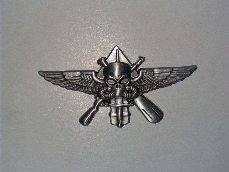 Prototype MARSOC Raider Badge Pin - Etsy
