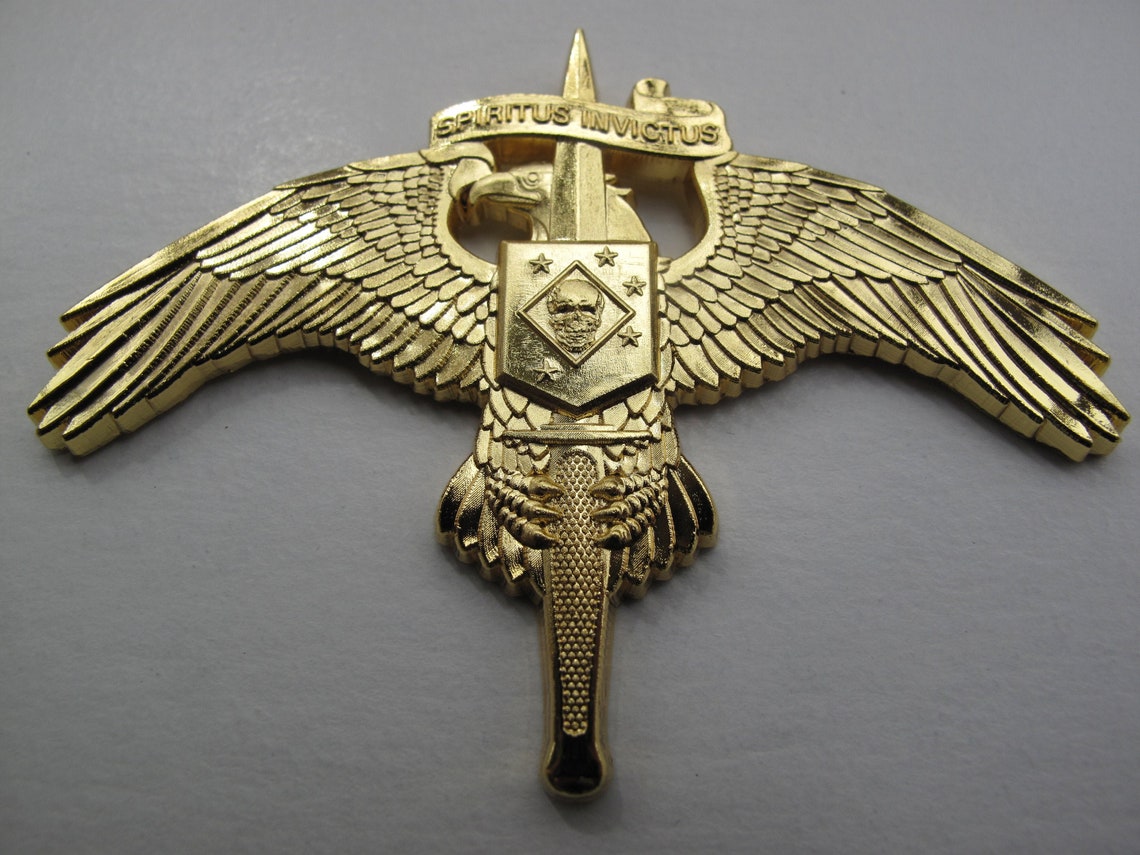MARSOC Raider Badge With Skull Legacy Pin Shiny Gold MOS 0372 MARSOF - Etsy