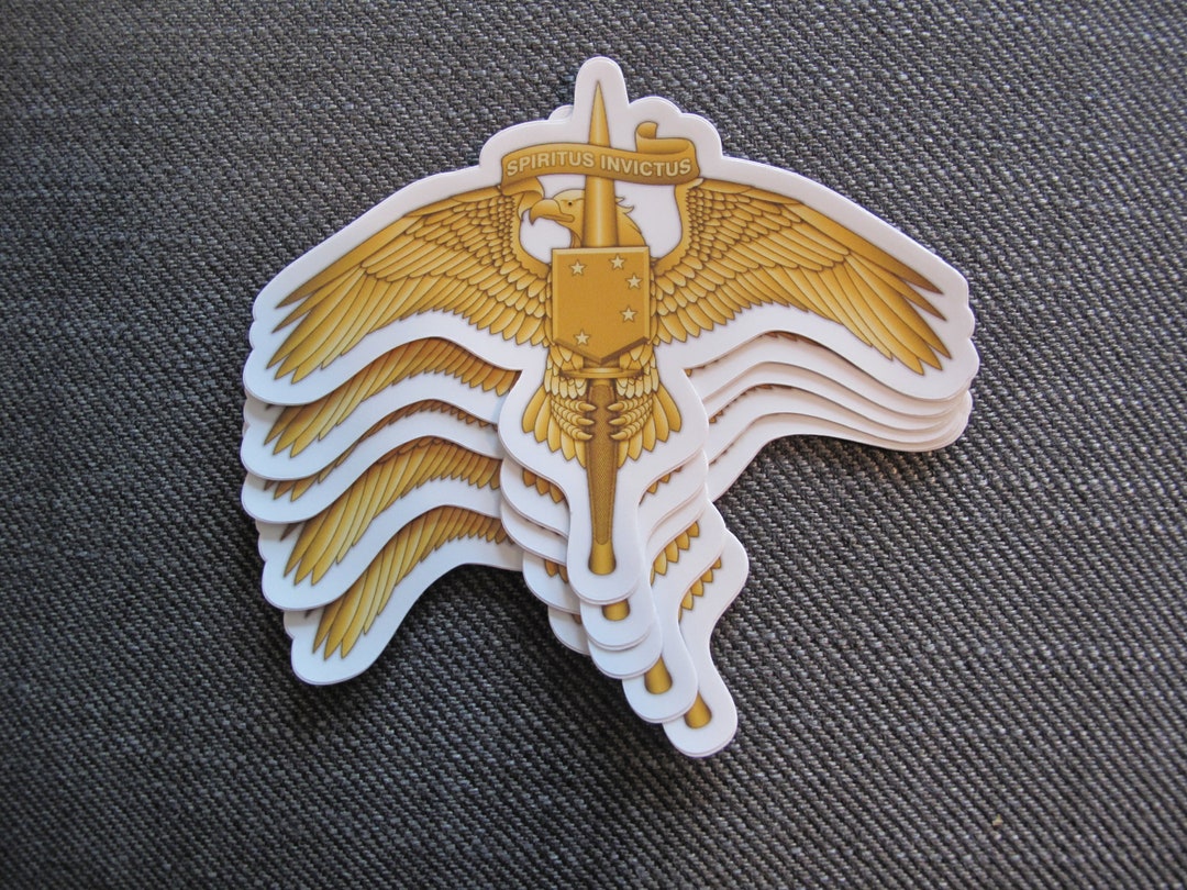 5X MARSOC Raider Badge Sticker Decal Critical Skills Operator - Etsy