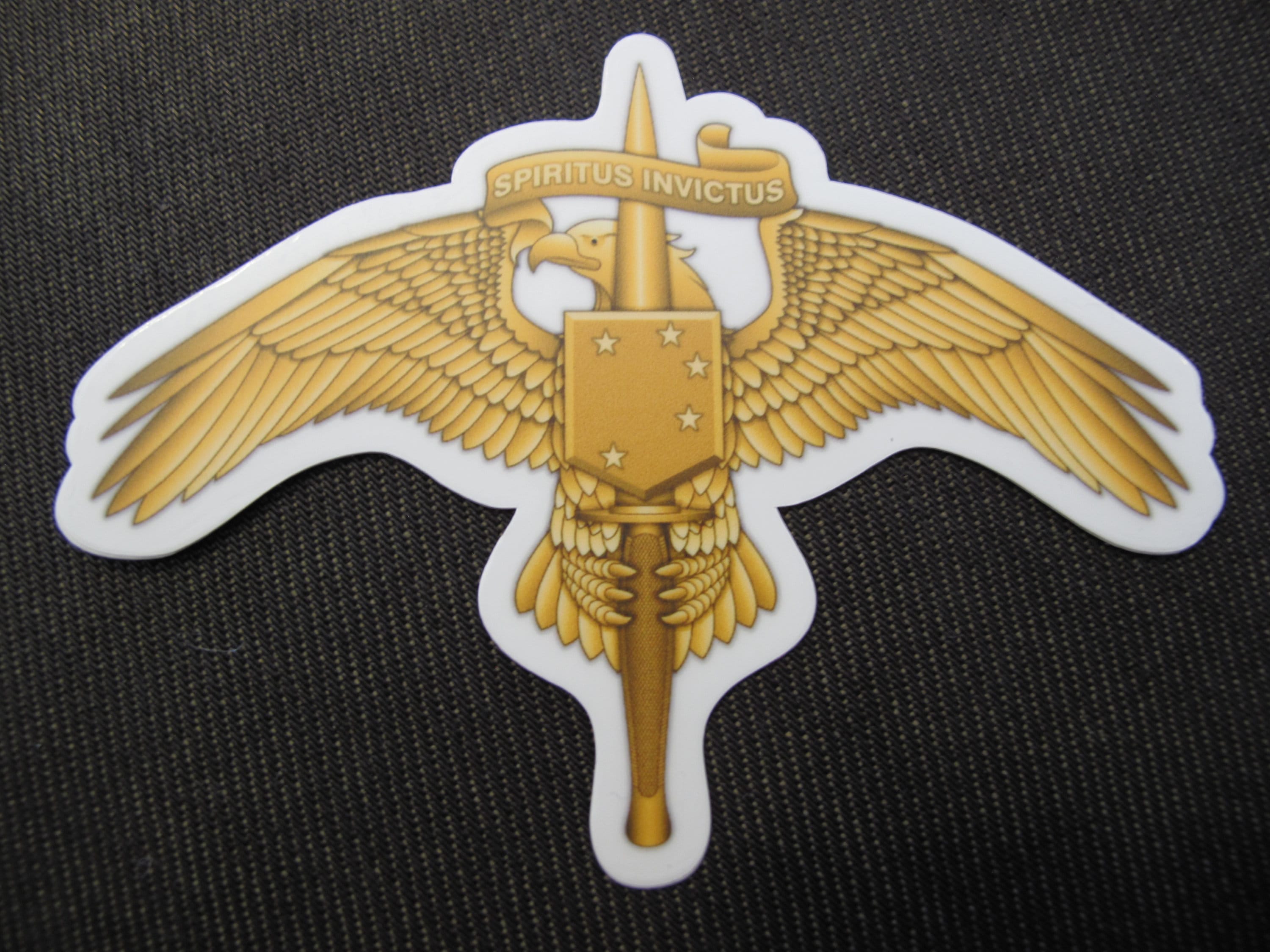 5X MARSOC Raider Badge Sticker Decal Critical Skills Operator - Etsy