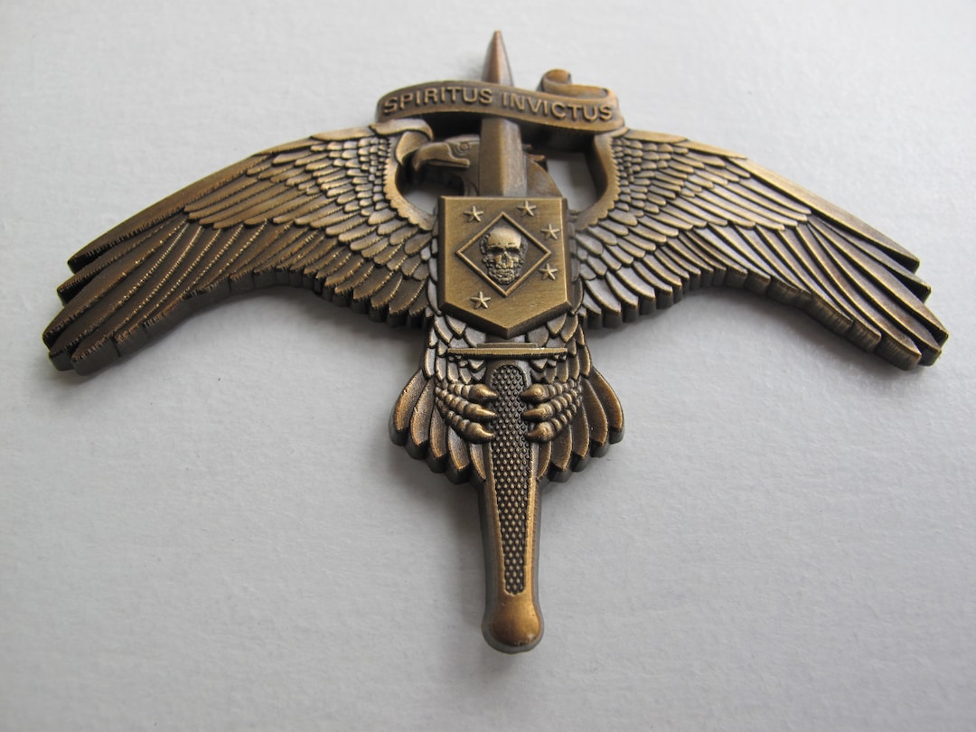 Marsoc Raider Badge With Skull Legacy Pin Antiqued Gold - Etsy