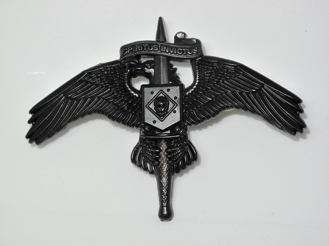 MARSOC Raider Badge With Skull Legacy Pin Subdued Matte Black Critical ...