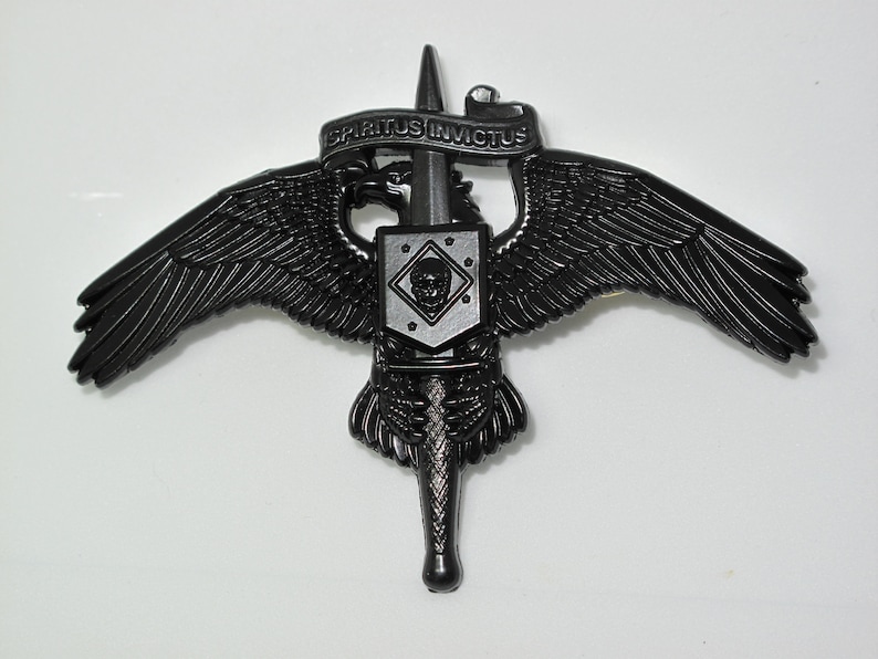 MARSOC Raider Badge With Skull Legacy Pin Subdued Matte Black Critical ...