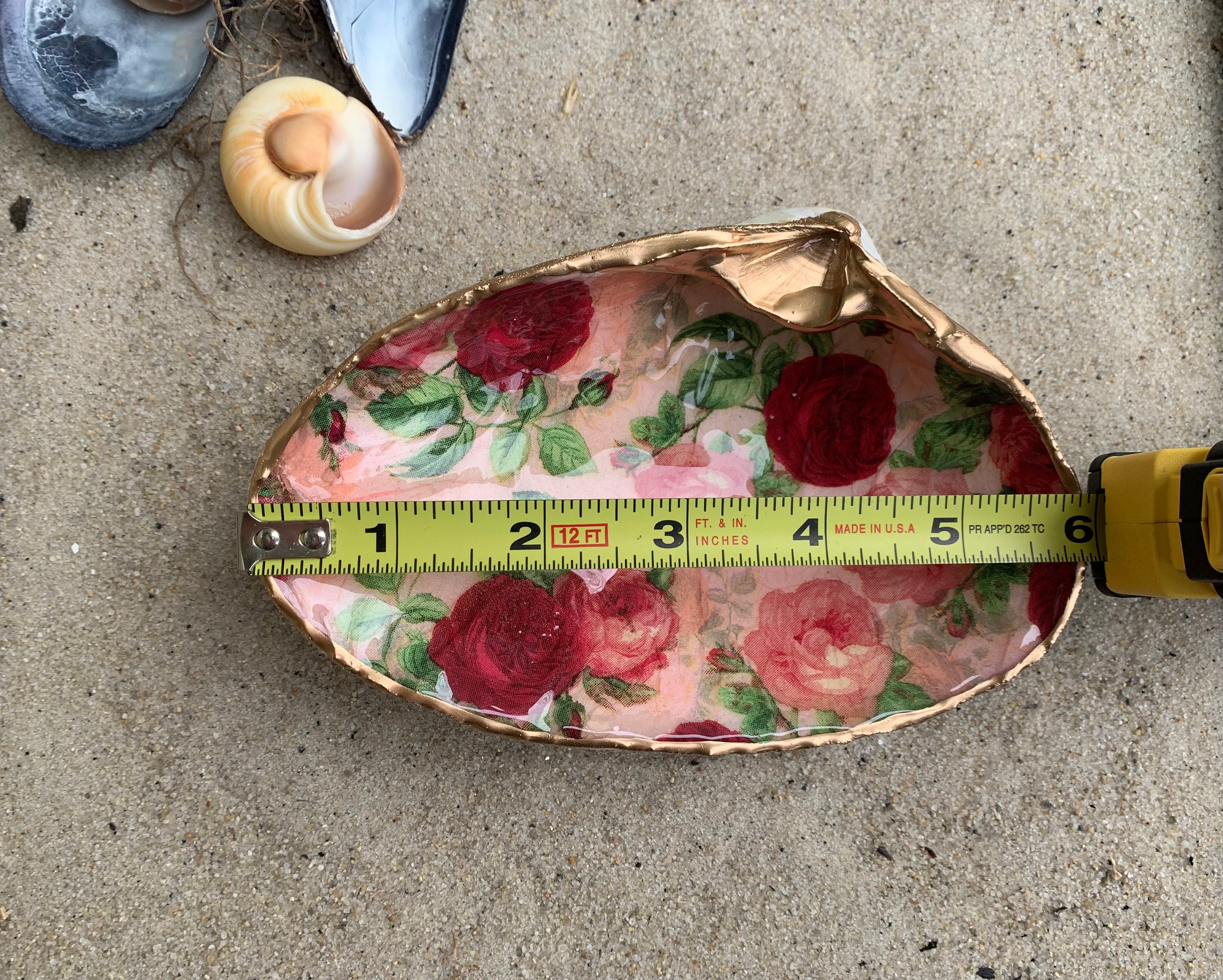 Rose Clam - Etsy