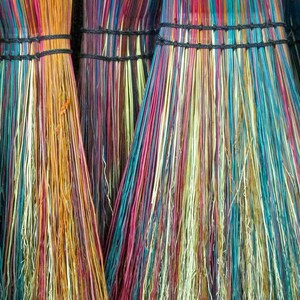 USA SELLER Ornamental Multi-color Broom Corn 50 Seeds Surghum Bicolor ...