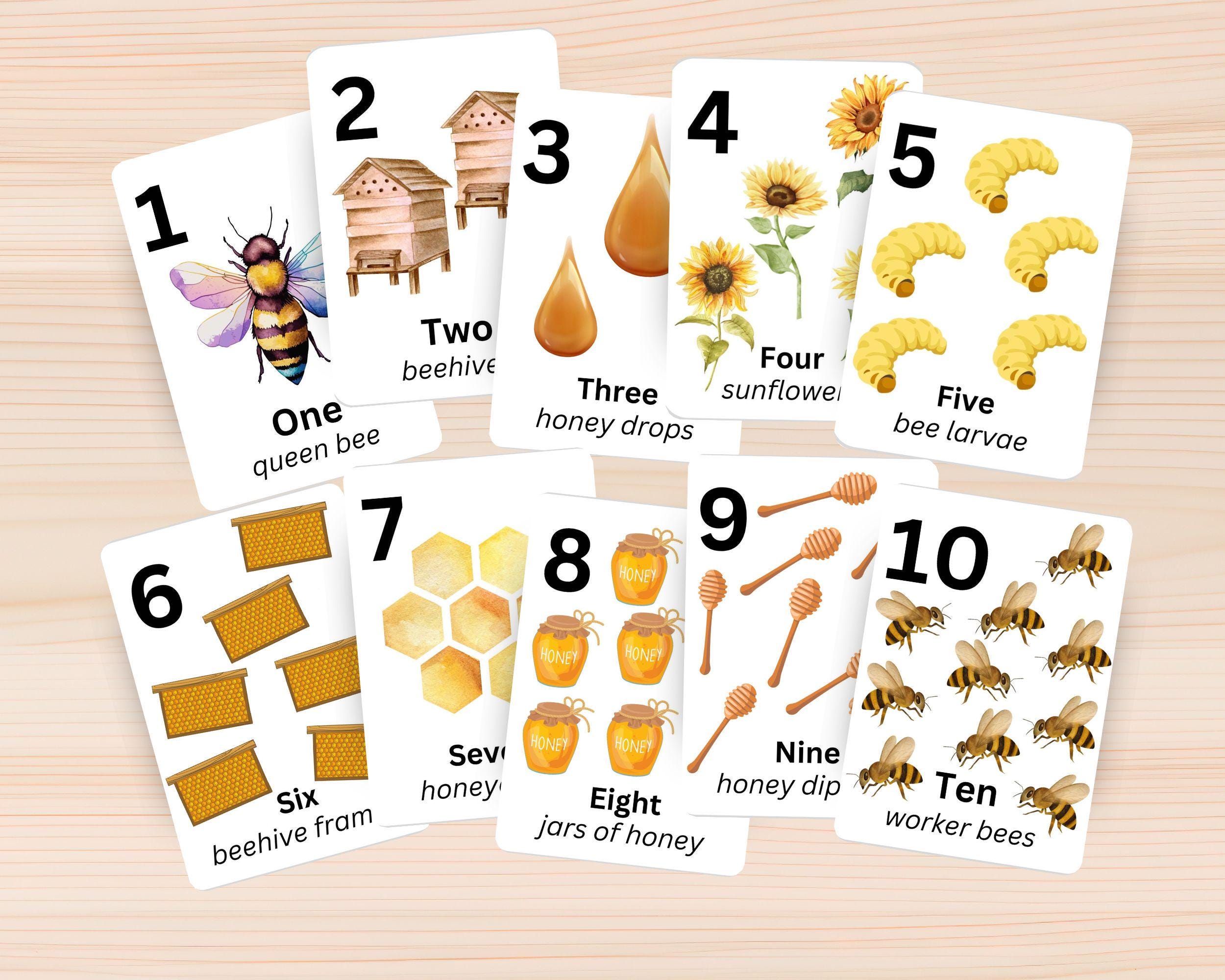 Number Flashcards Printable 1-10, Use for Homeschool, Preschool, Bee ...