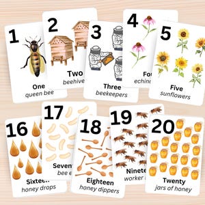 Number Flashcards Printable 1-20, Use for Homeschool, Preschool, Bee ...